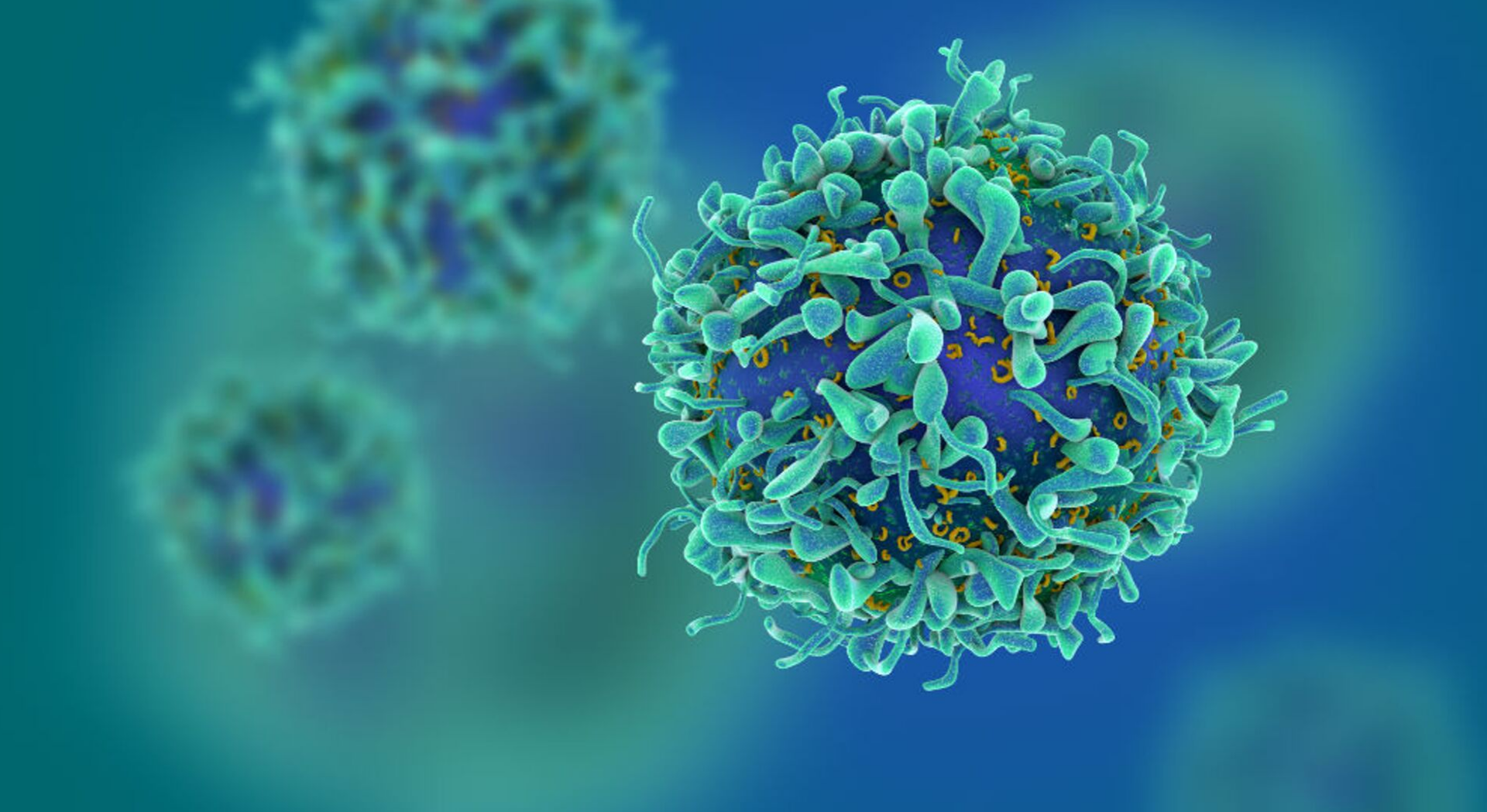 Mechanisms of chemo-resistance in T-cell acute lymphoblastic leukemia ...